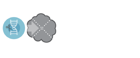 About - KSQ Therapeutics