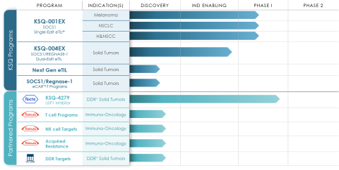 Pipeline - KSQ Therapeutics