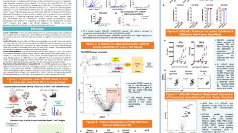 AACR Poster Presentation: “KSQ-001: A CRISPR/Cas9-Engineered Tumor ...