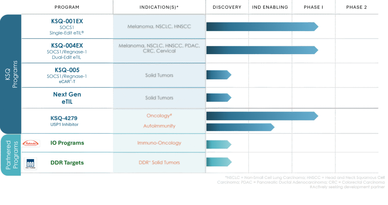 Pipeline - KSQ Therapeutics